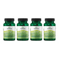 Swanson probiotics for digestive health