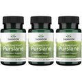 Swanson Purslane multivitamins for overall health