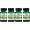 Swanson Pycnogenol antioxidant capsules