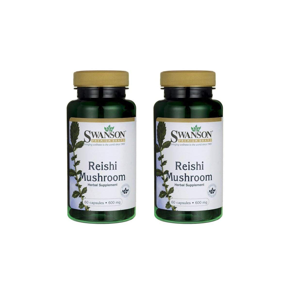 Swanson Reishi mushroom immune support