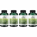 Swanson turmeric antioxidant capsules