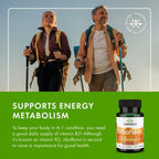 Swanson Vitamin B2 antioxidant properties