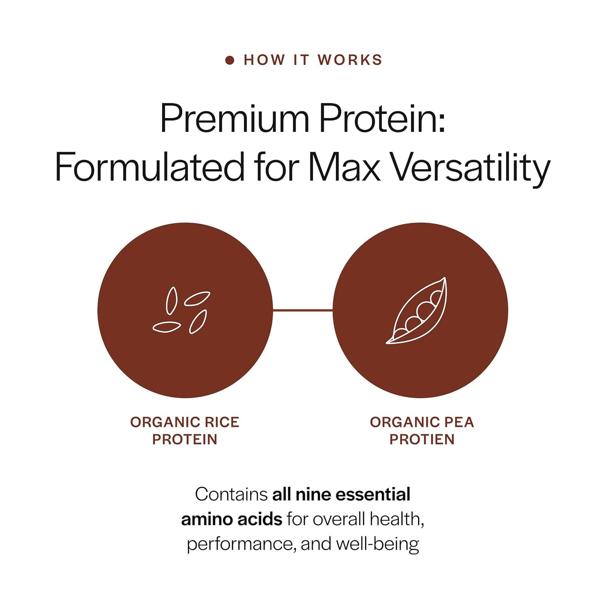 Sweet treat plant protein flavour