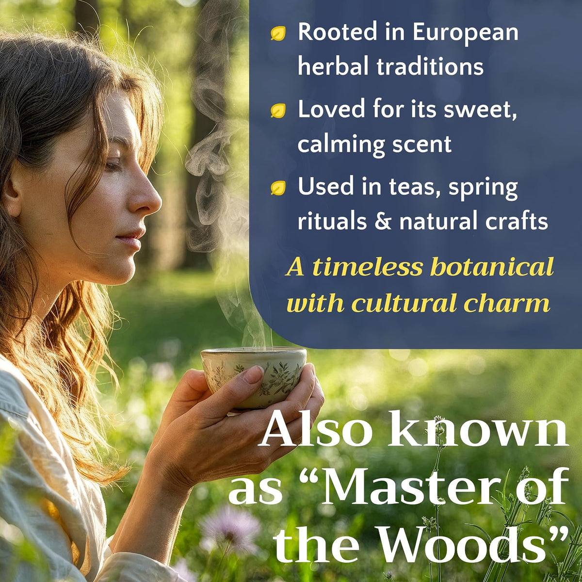 Sweet Woodruff tea for wellness