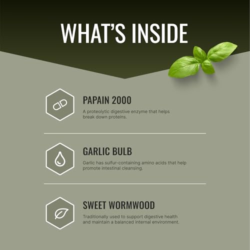 sweet wormwood detox benefits