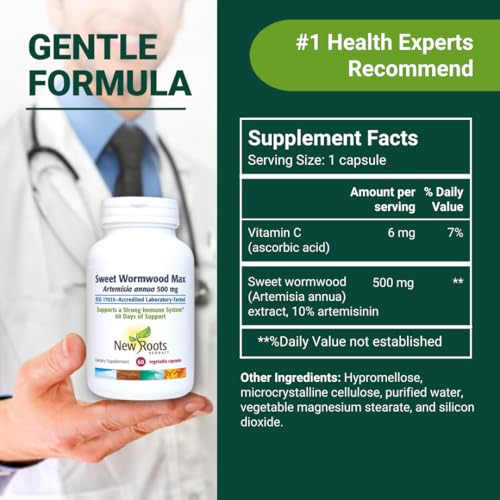 Sweet Wormwood for digestive health