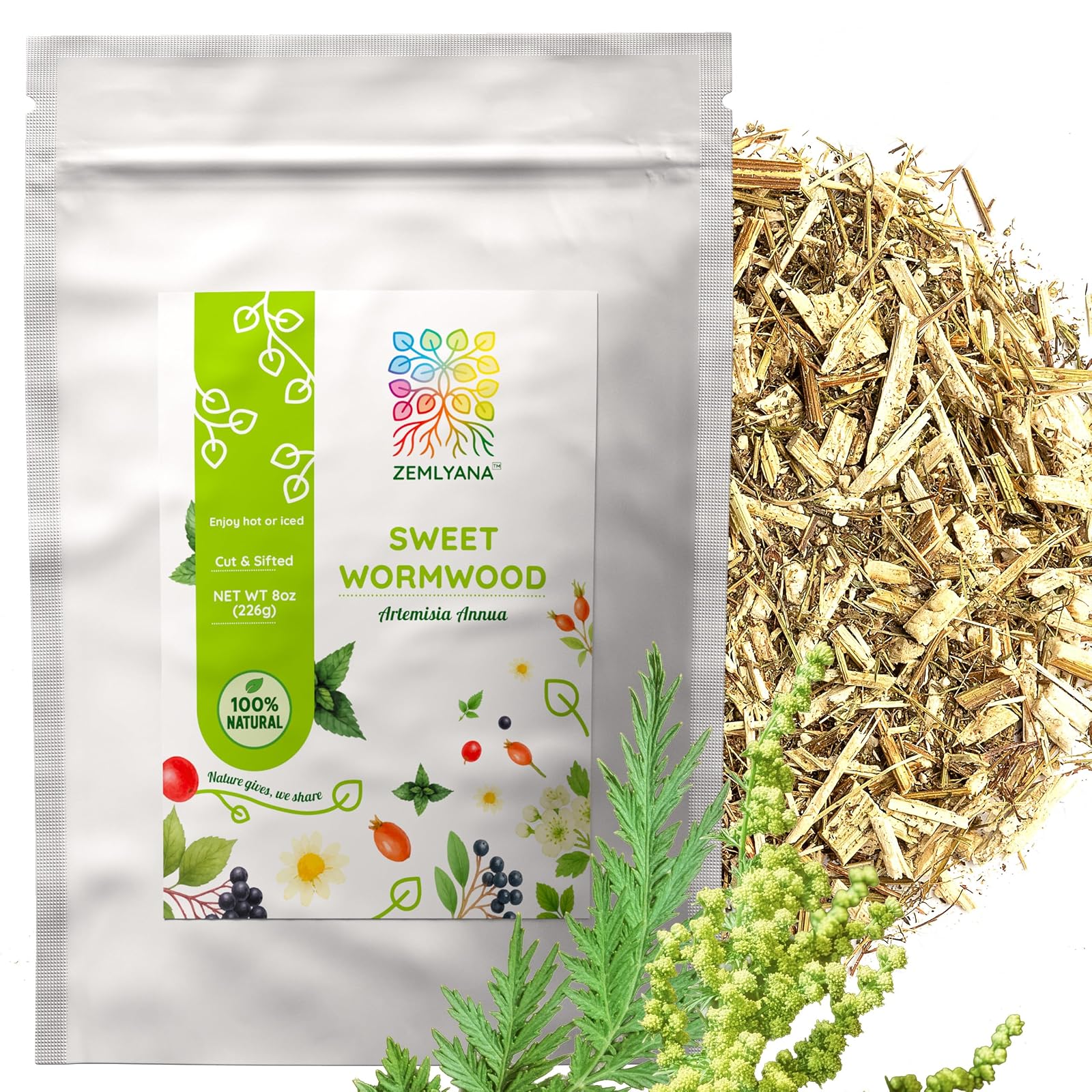 Sweet Wormwood herbal tea benefits