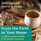 Sweet Wormwood tea for digestive health