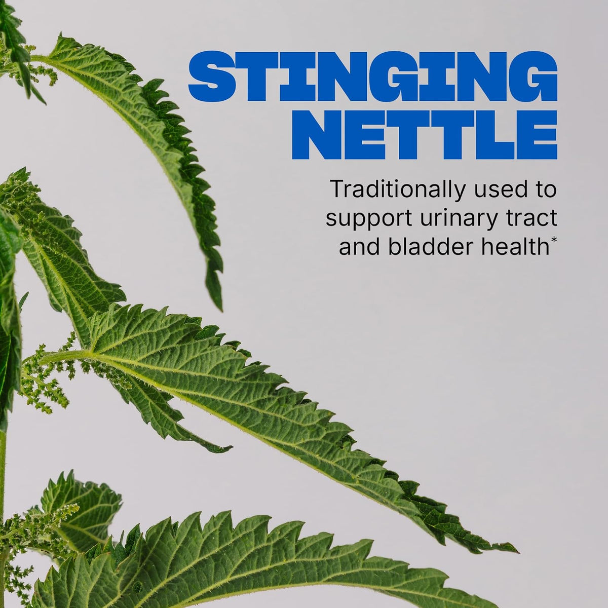 swisse saw palmetto tablets for men