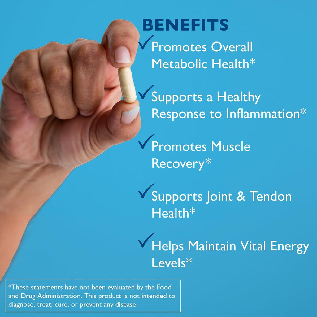 Systemic enzyme supplement for digestion
