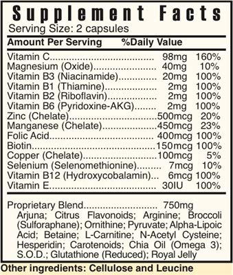 Systemic Formulas 60 capsules supplement
