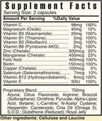 Systemic Formulas 60 capsules supplement