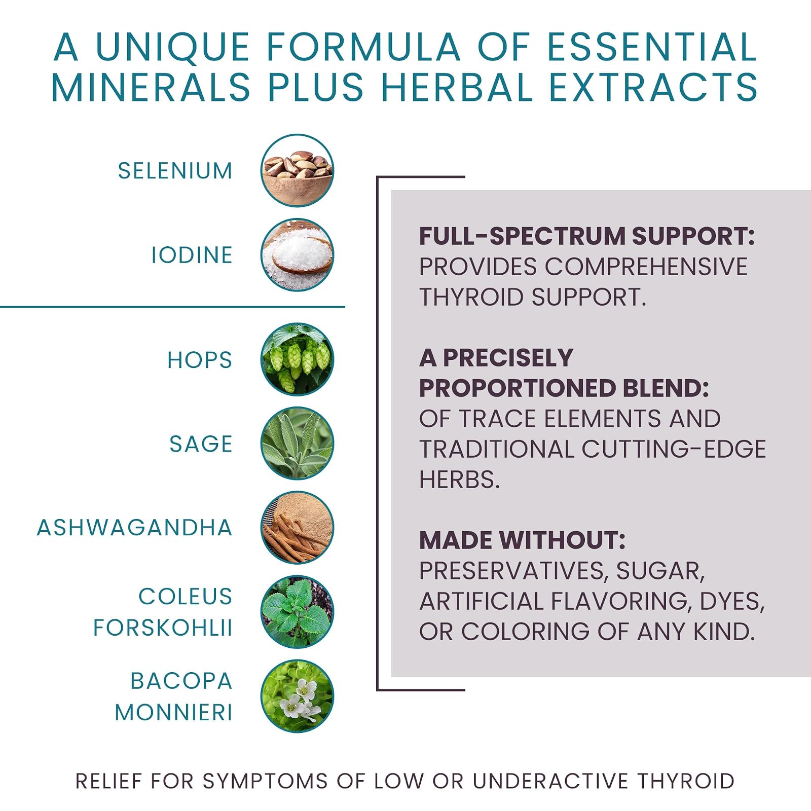 T-Balance Plus multivitamin for hormonal balance