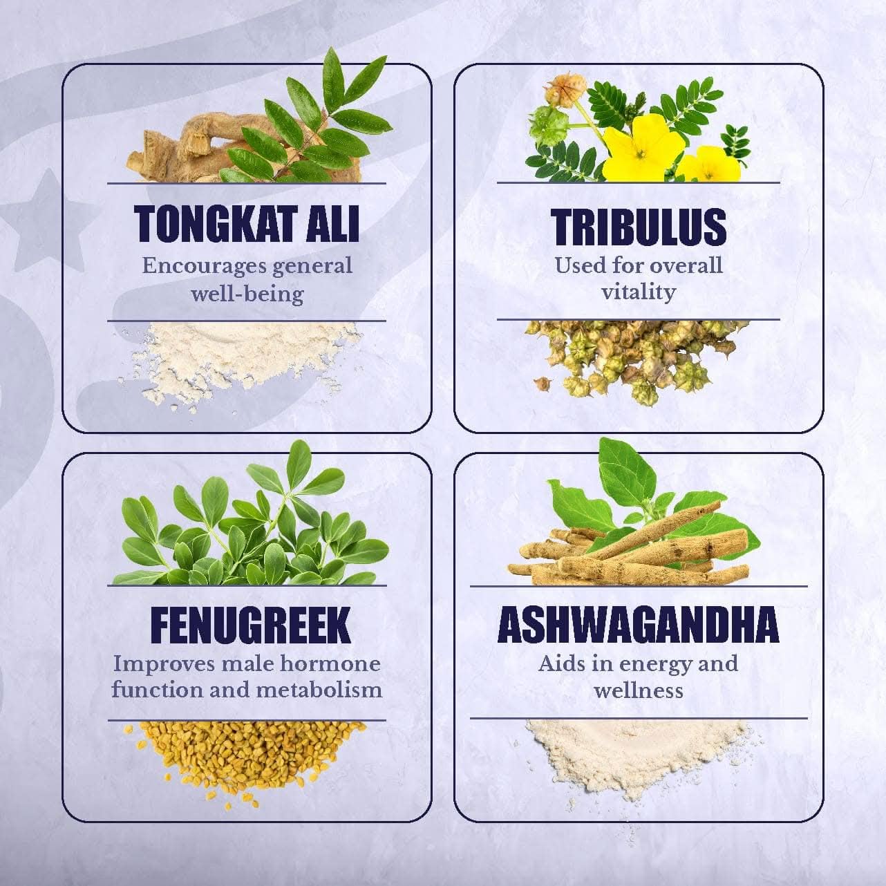 T-Forge multivitamins for active lifestyle
