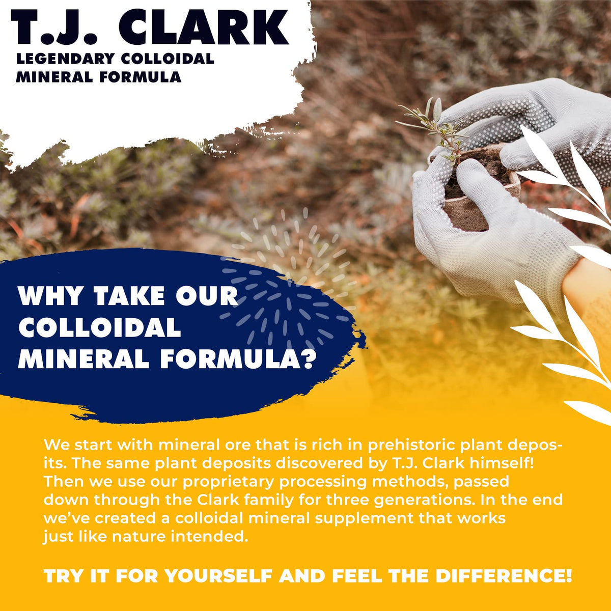 T.J. Clark mineral formula for wellness