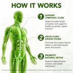 Tamiodfo echinacea capsules for wellness