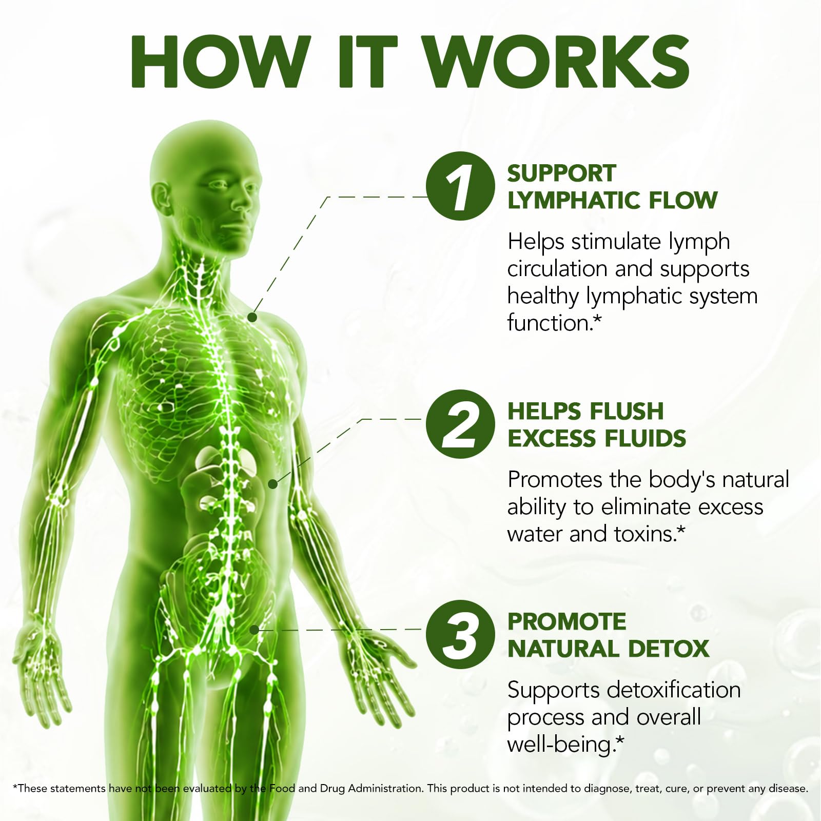 Tamiodfo echinacea capsules for wellness