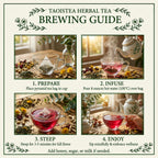 TAOISTEA blood detox herbal infusion