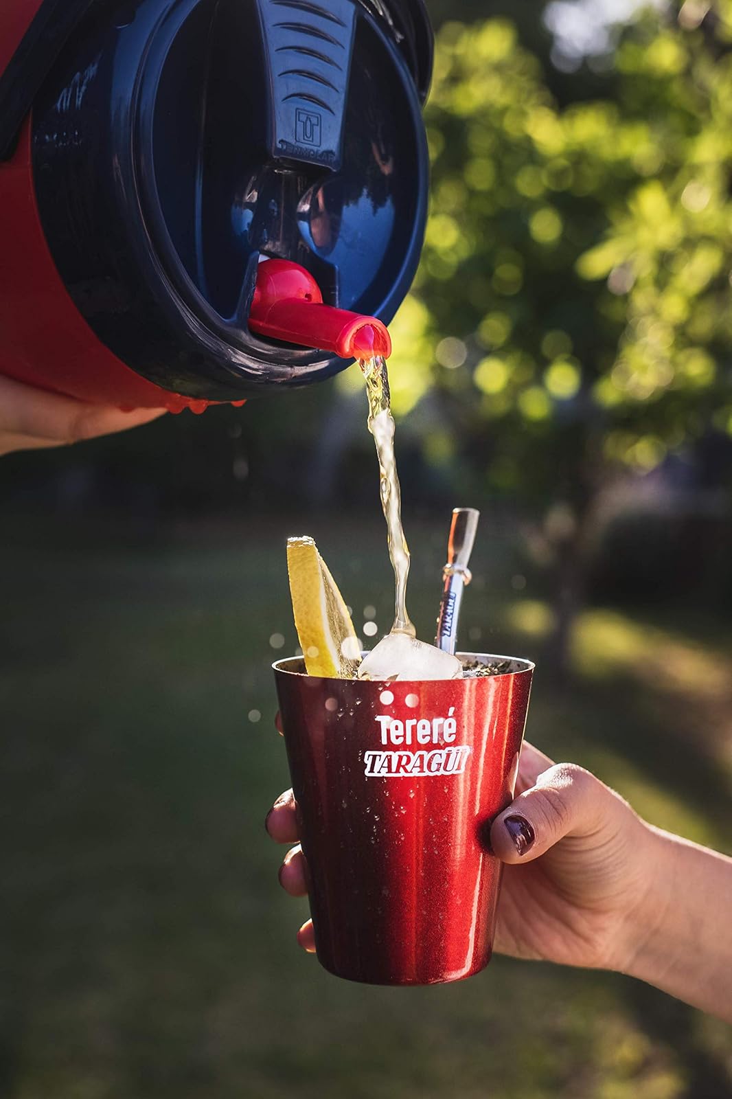 Taragüi citric yerba mate 500g