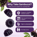 tasty black elderberry gummies for kids