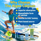 tasty calcium gummies for children