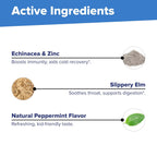 tasty echinacea lozenges for kids