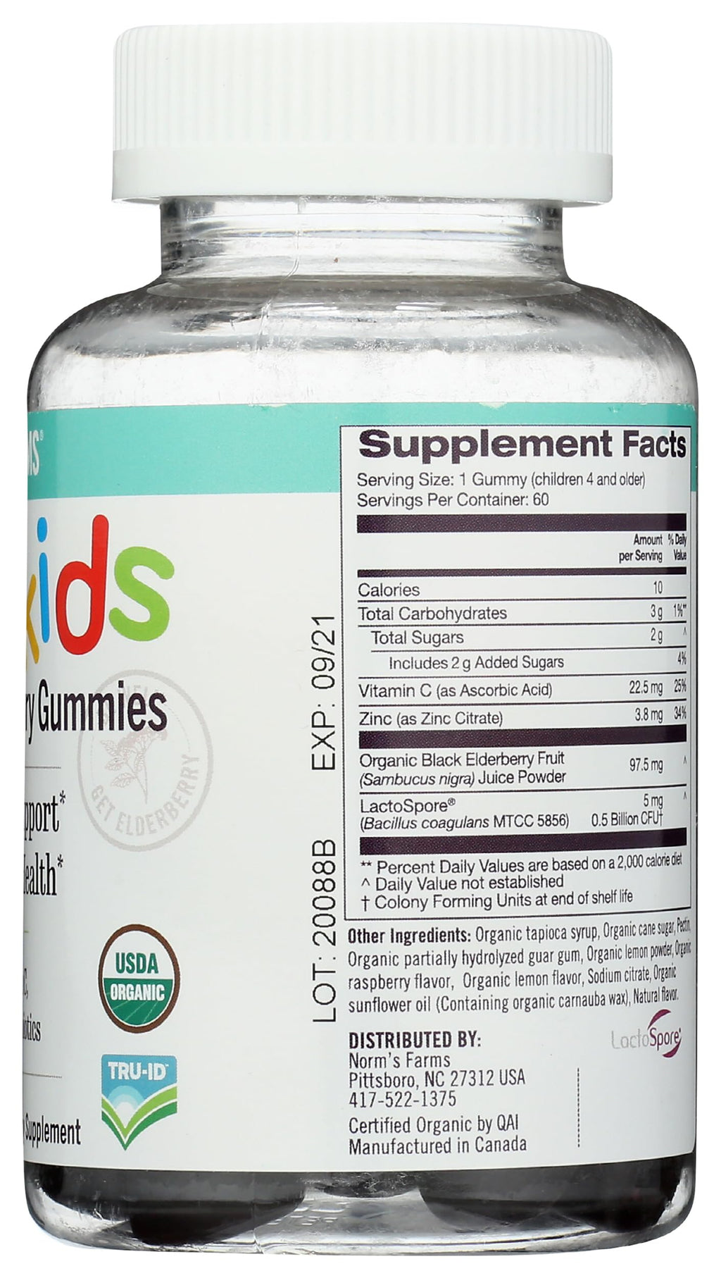 tasty elderberry gummies for better health