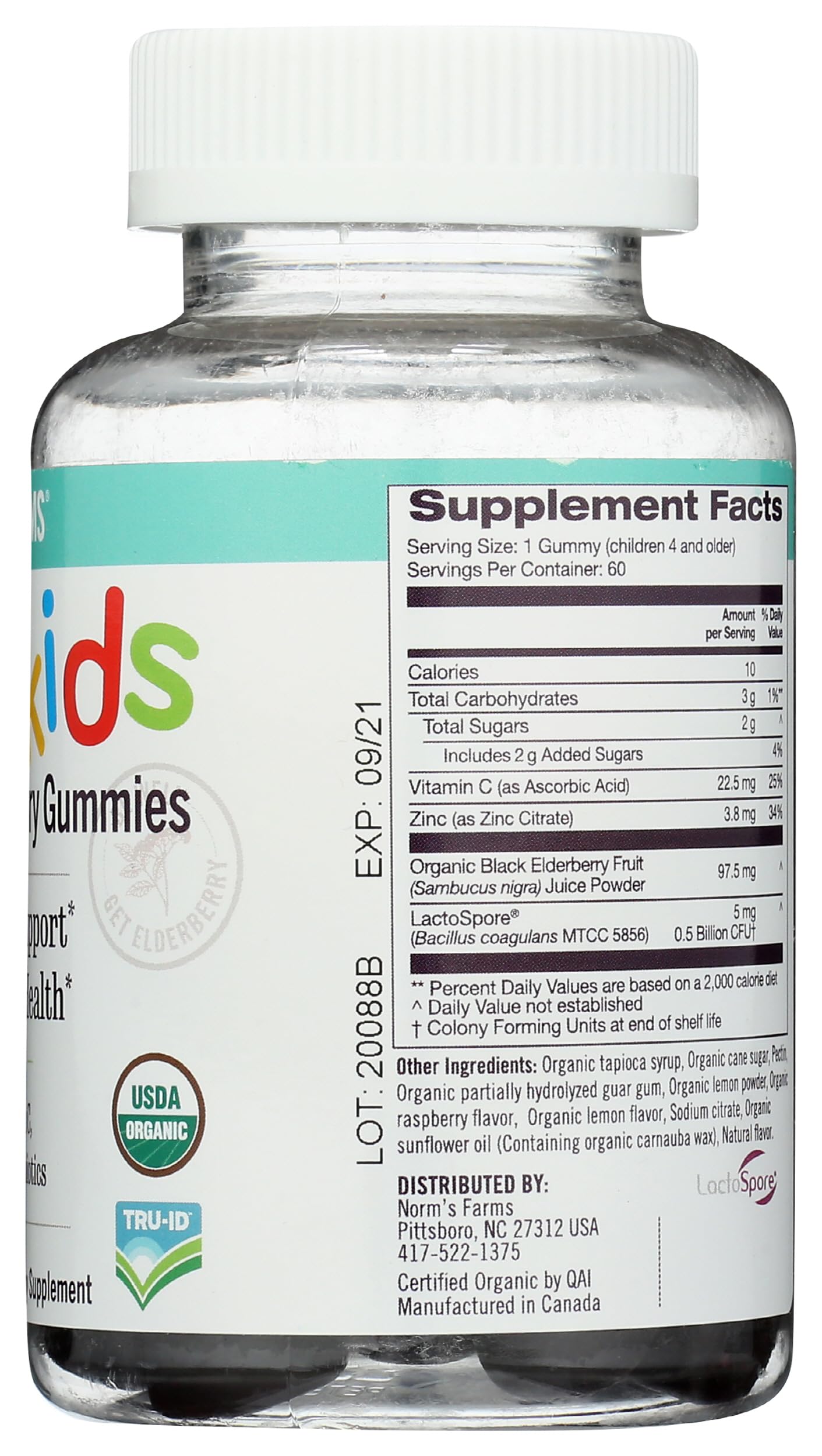 tasty elderberry gummies for better health