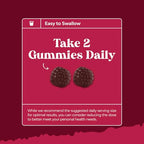 tasty elderberry gummies for daily health