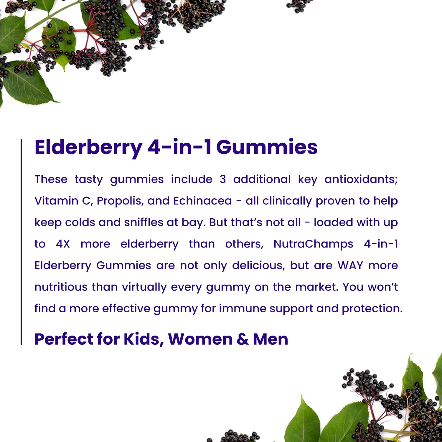 tasty elderberry gummies for daily use