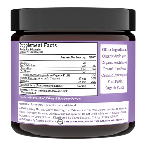 tasty elderberry gummies for everyday use