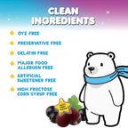 tasty elderberry gummies for immune health
