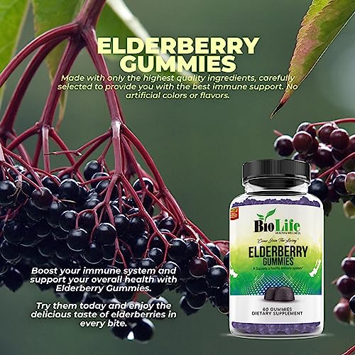 tasty elderberry gummies for immune health