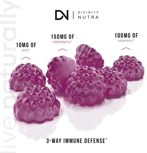 tasty elderberry gummies for immune health