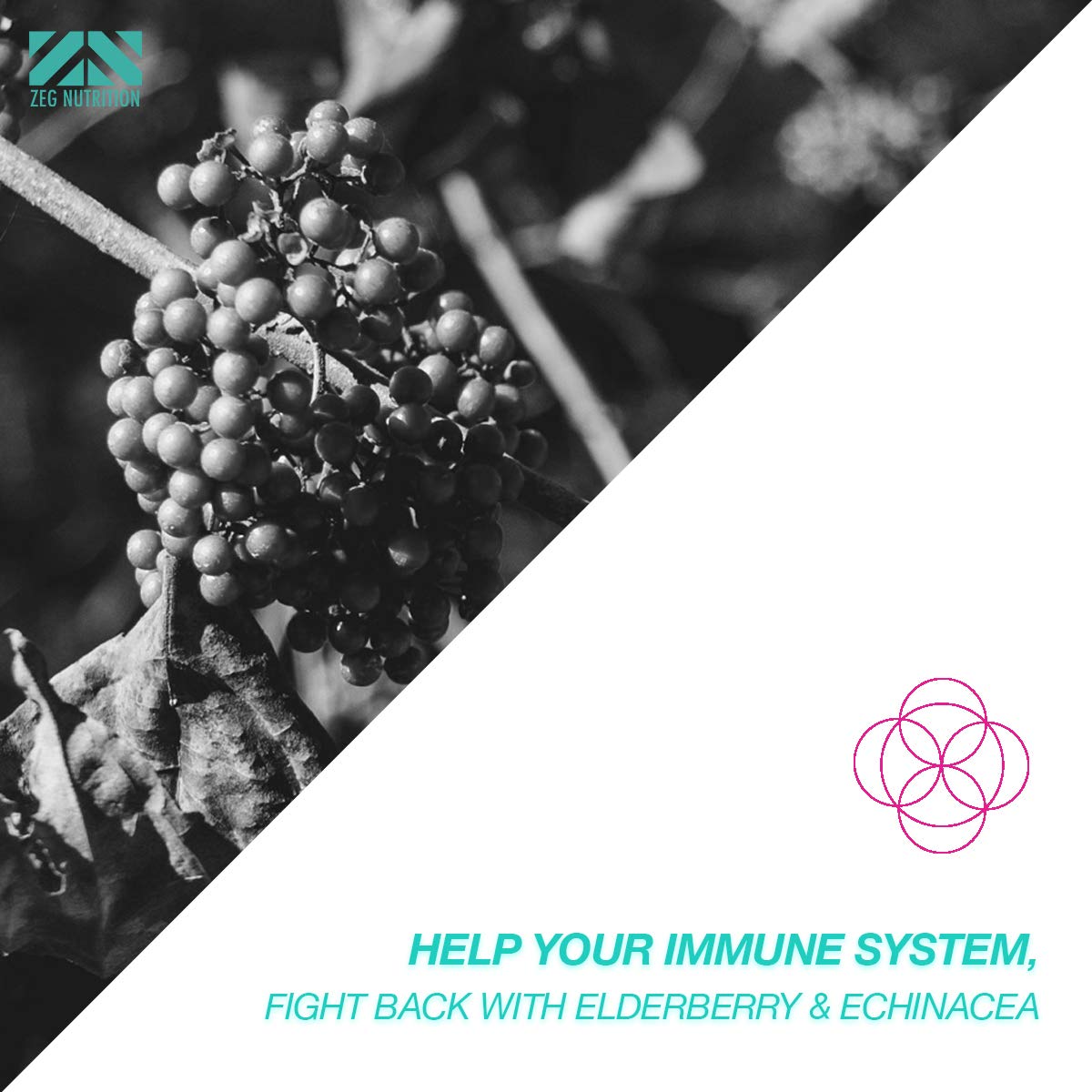tasty elderberry gummies for immune health