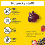 tasty elderberry gummies for kids health