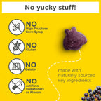 tasty elderberry gummies for kids