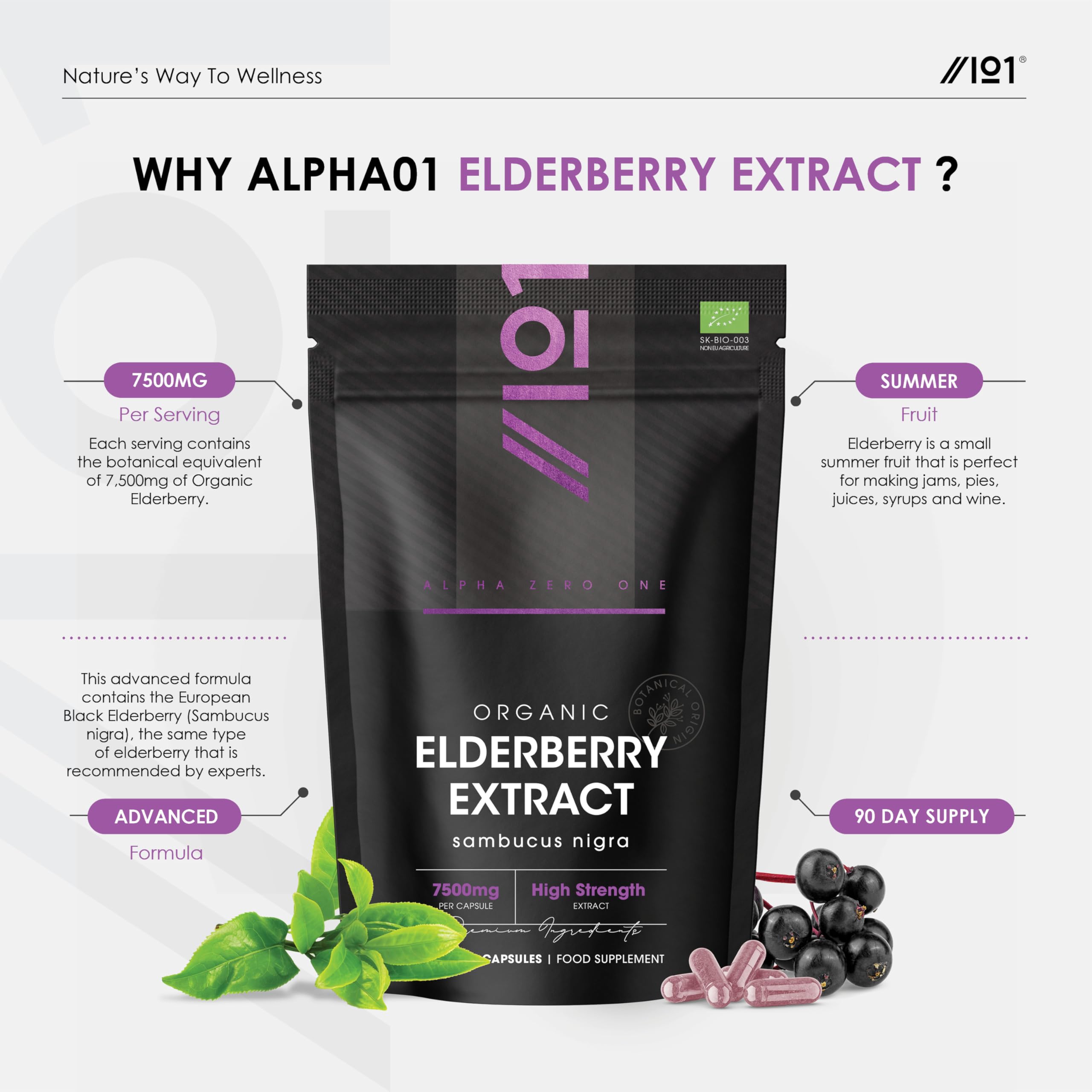 tasty elderberry gummies for kids