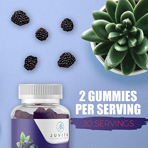 tasty elderberry gummies for the whole family