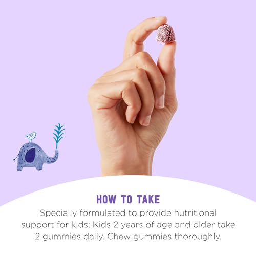 tasty elderberry gummy immune booster