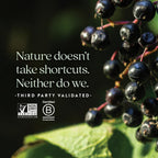 tasty elderberry syrup for kids