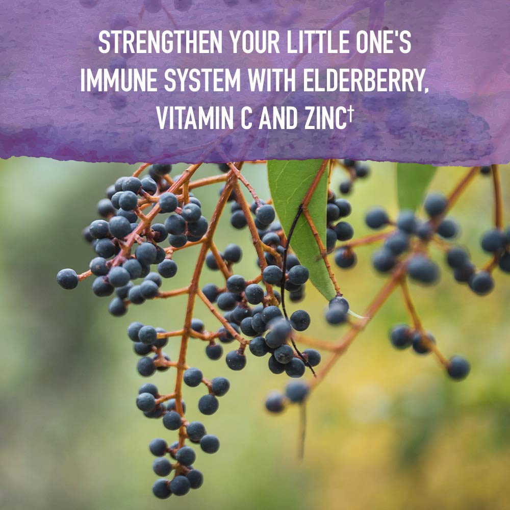 tasty elderberry syrup for kids