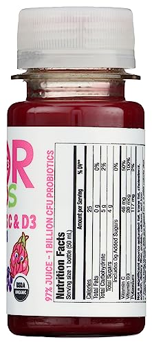 tasty elderberry wellness boost