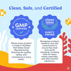 tasty gummy probiotics for everyday wellness