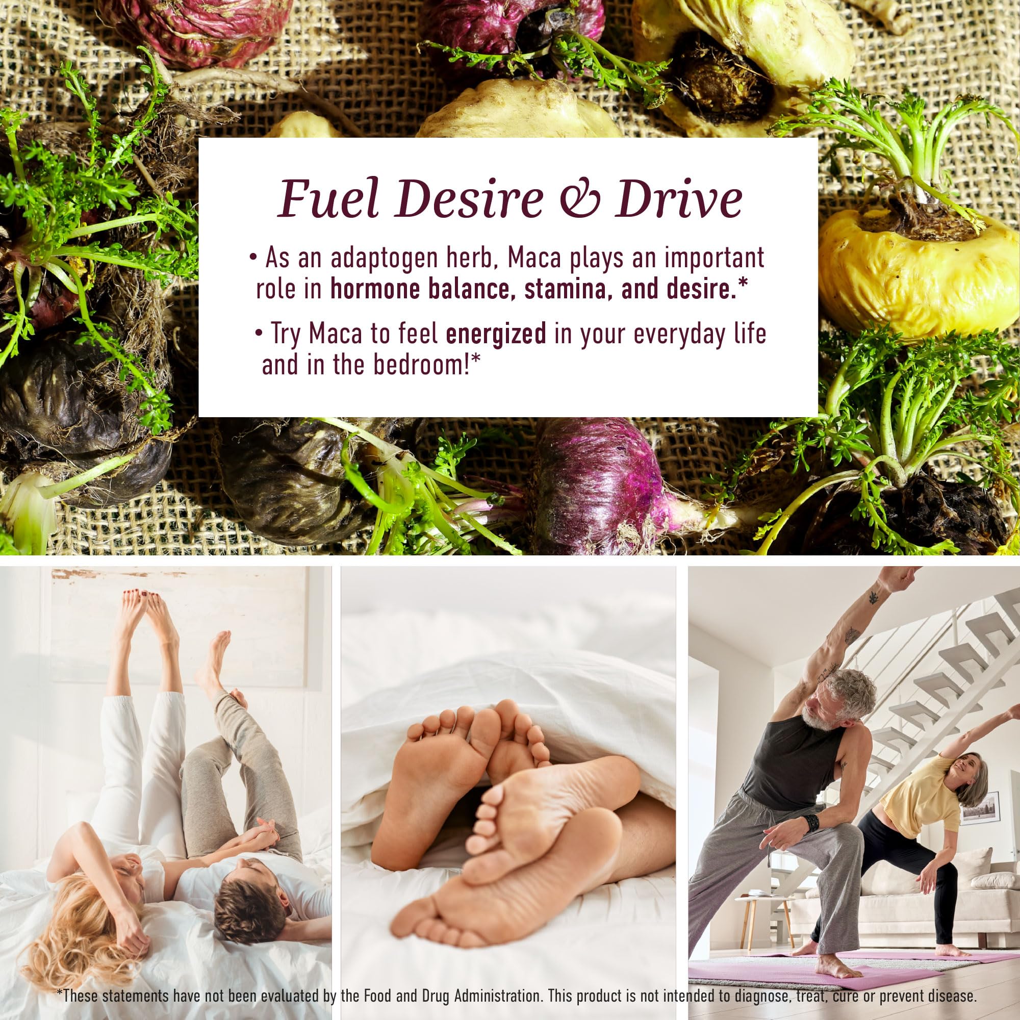 Tasty herbal supplements for active lifestyle