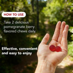 tasty organic gummies for immune support