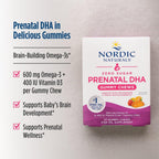 tasty prenatal gummies for healthy pregnancy
