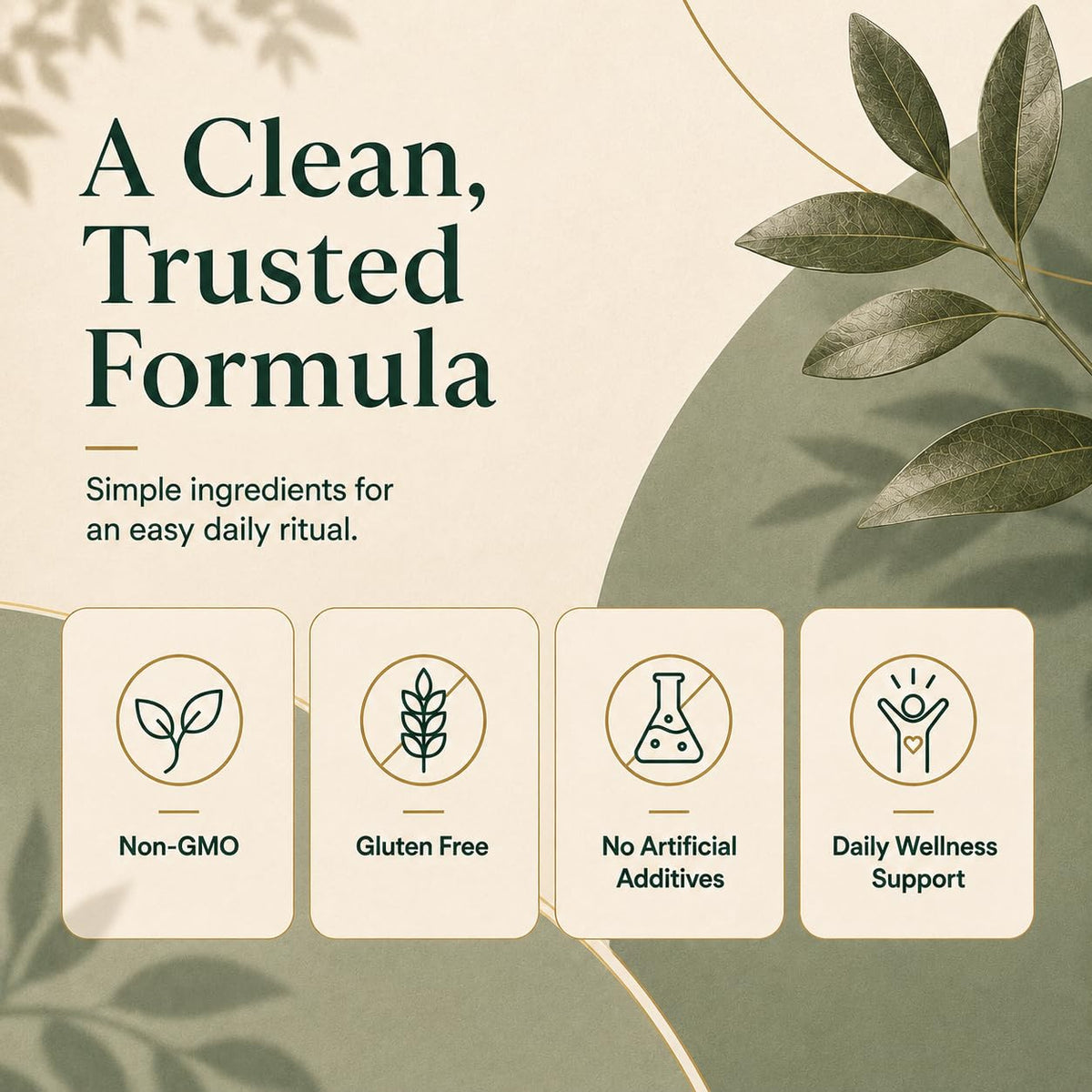 tasty probiotic gummies for a healthy lifestyle