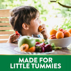 tasty probiotics for healthy gut