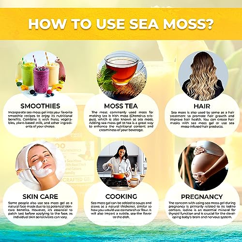 Tasty sea moss gel for smoothies